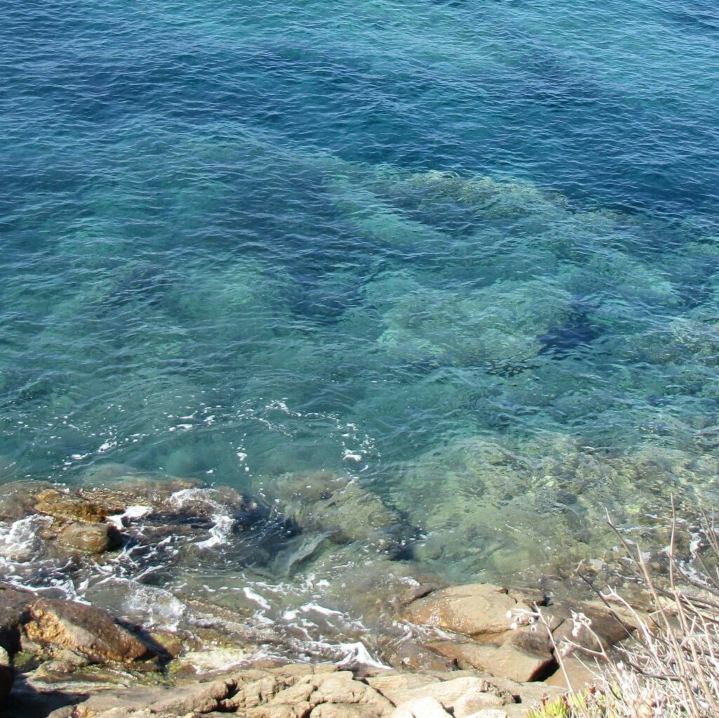 Le Levant Island - all year round - Vedettes Îles d'Or & Le Corsaire