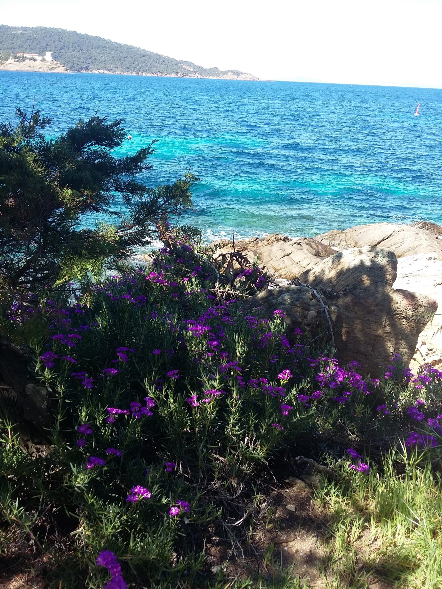 Le Levant Island - all year round - Vedettes Îles d'Or & Le Corsaire