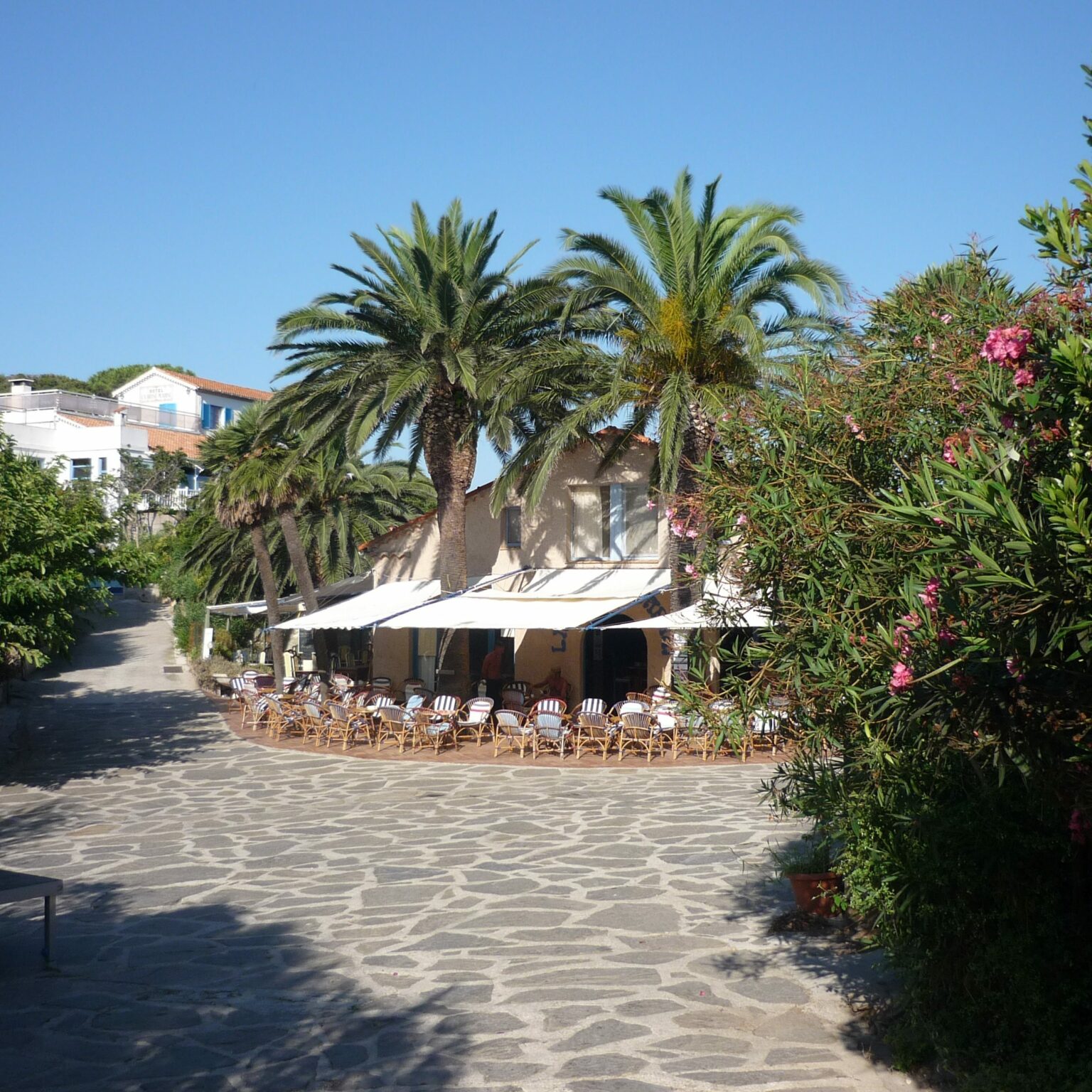 Île du Levant - Vedettes Îles d'Or & Le Corsaire