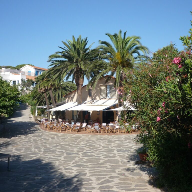 Le Levant Island - all year round - Vedettes Îles d'Or & Le Corsaire