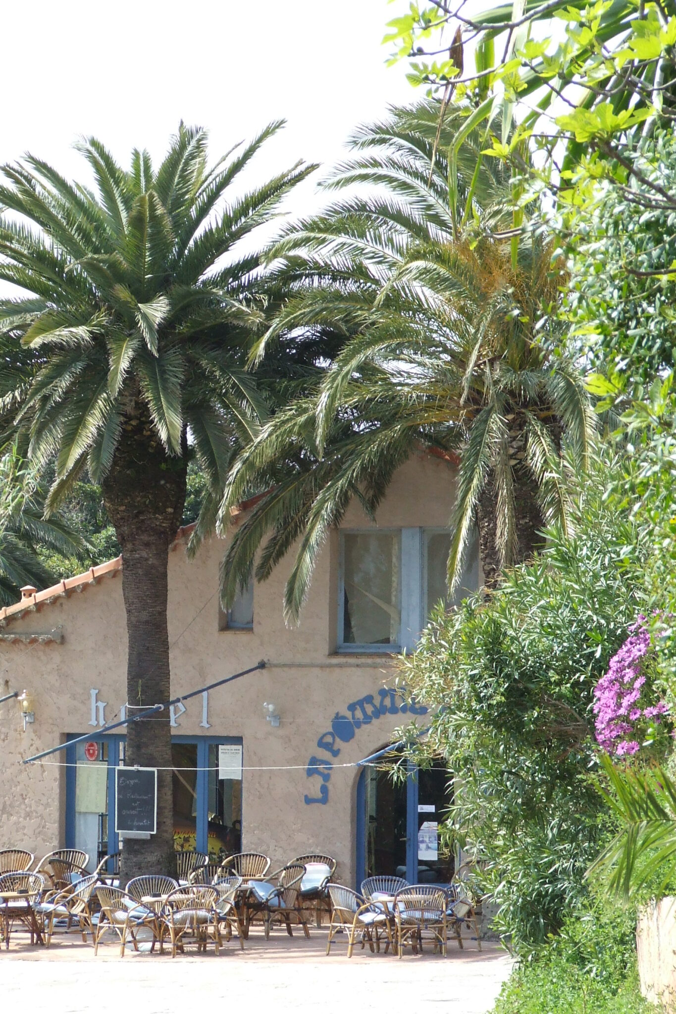 Le Levant Island - all year round - Vedettes Îles d'Or & Le Corsaire